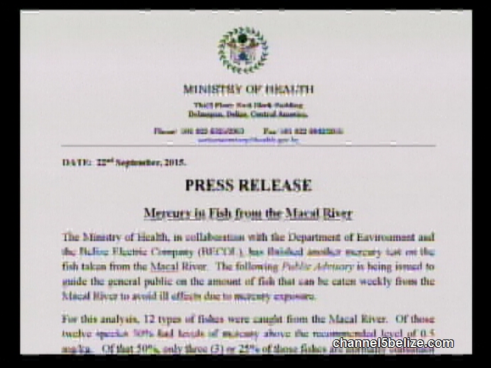 Mercury Above Acceptable Level in Fish Found in Macal River | News 5 ...