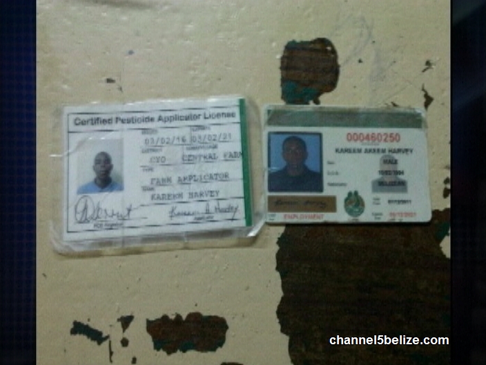 Belize City Resident Attacked and Robbed Officer of the Pesticide ...
