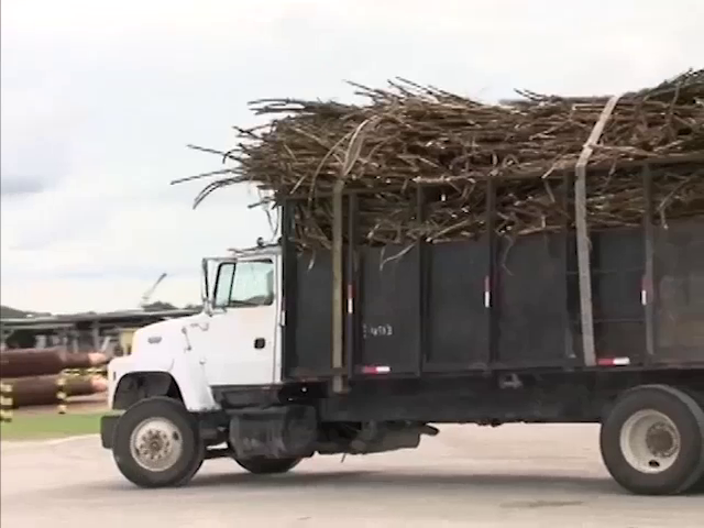 Minister of Agriculture Weighs in on Cane Farmers and ASR/BSI Impasse ...